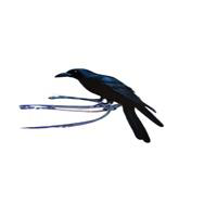 AI Crow Token (ACRW) ICO Rating and Details - CoinCheckup