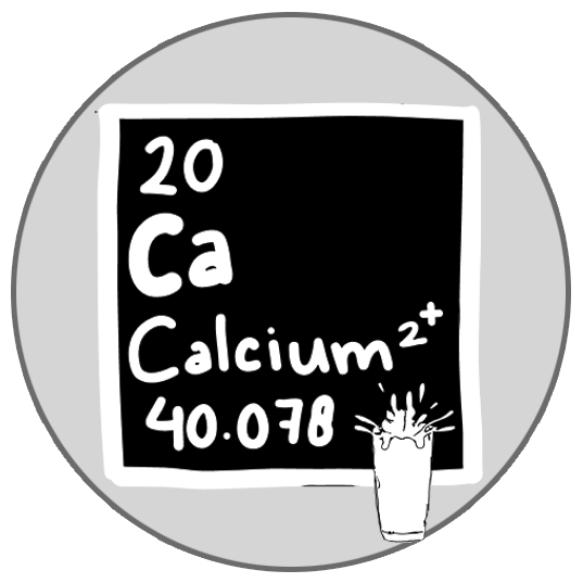 Calcium2⁺ (CAL2⁺) ICO Rating and Details - CoinCheckup